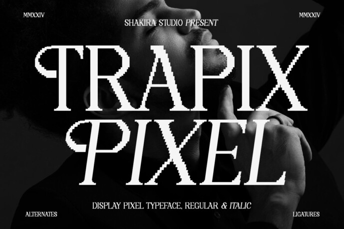 Trapix Pixel Serif Font - Free Font