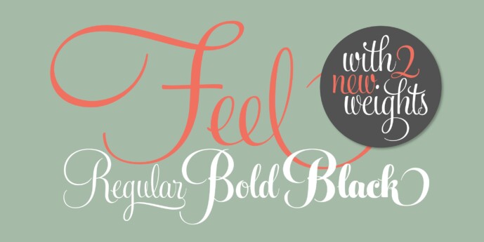 Feel Script Font - Free Font