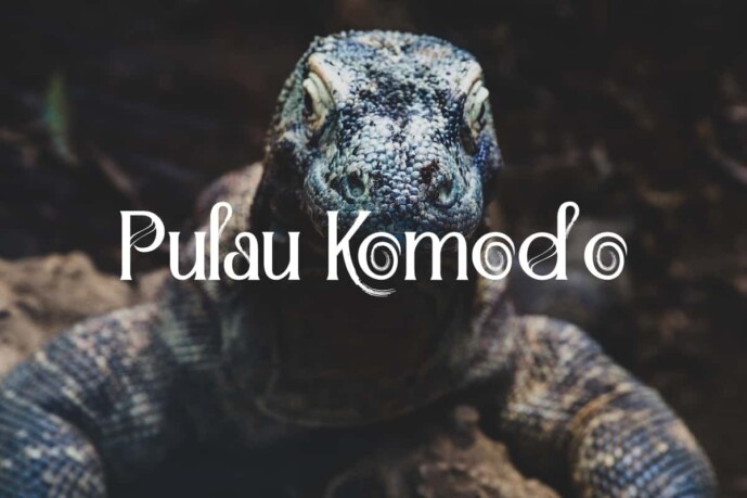 Pulau Komodo Font - Free Font