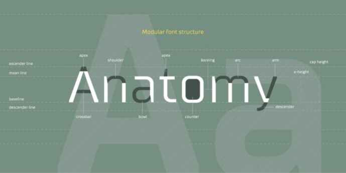 TT Supermolot Font Family - Free Font