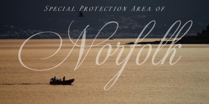 Daevon - Individual Script Typeface - Free Font