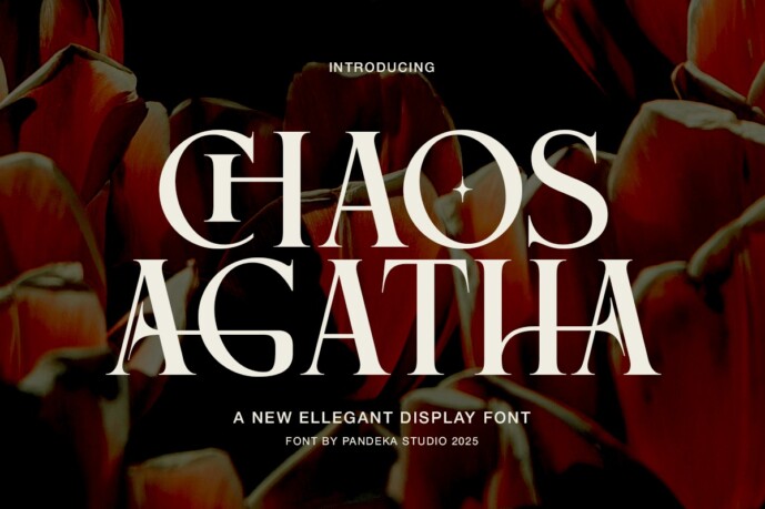 Chaos Agatha Font - Free Font