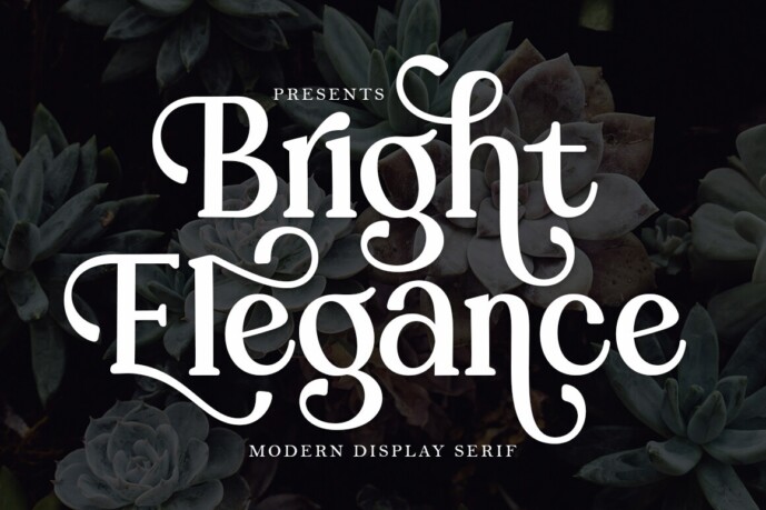 Bright Elegance Font - Free Font