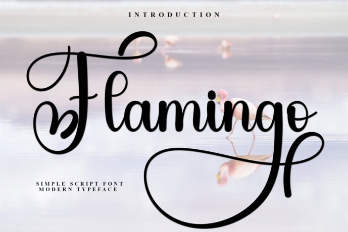 Flamingo Font - Free Font