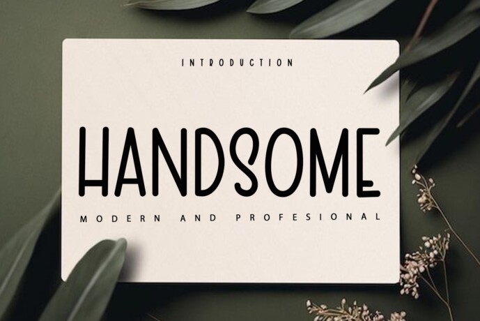 Handsome Font - Free Font