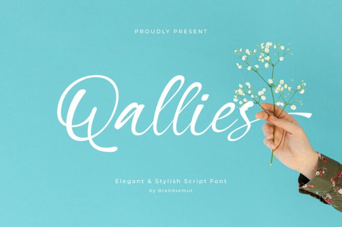 Qallies Font - Free Font