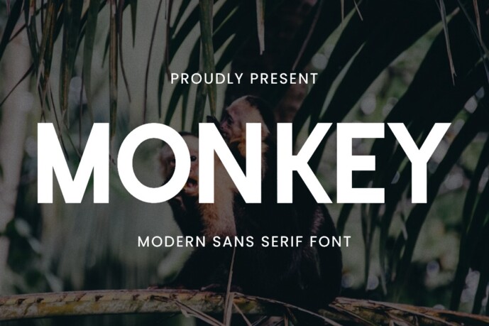 Monkey Font - Free Font