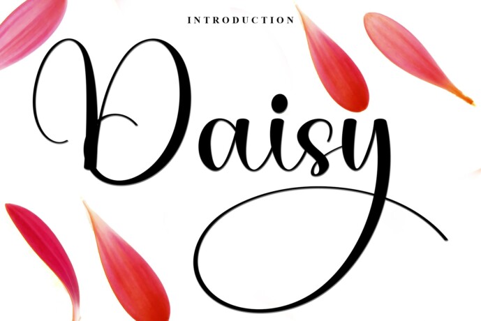 Daisy Font - Free Font