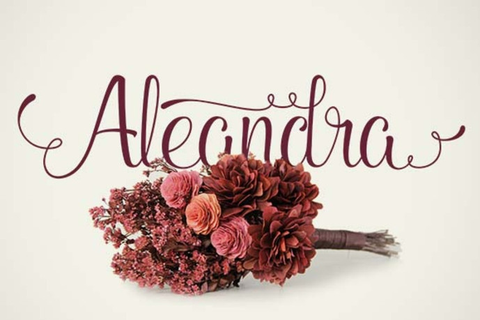 Aleandra Modern Script Font - Free Font