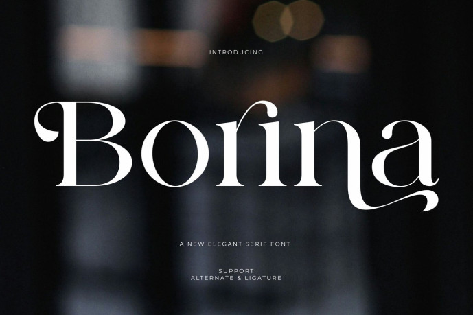 Borina Font - Free Font