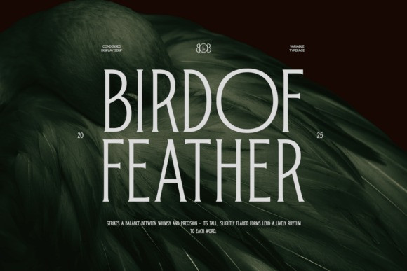 Bird Of Feather Font - Free Font