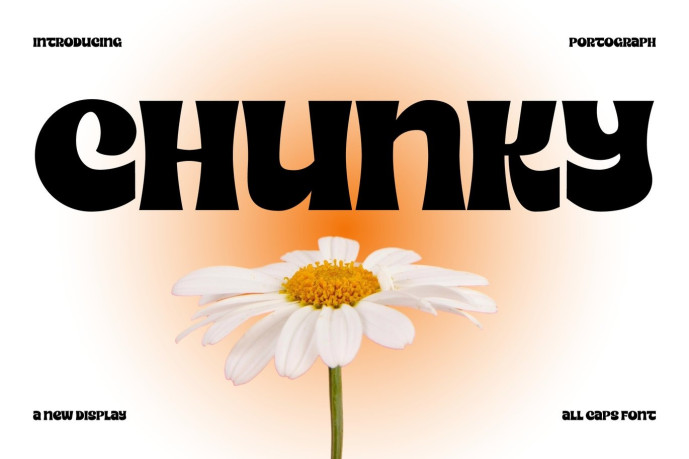 Chunky Display Typeface - Free Font