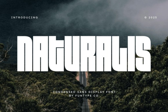 Naturalis Font - Free Font