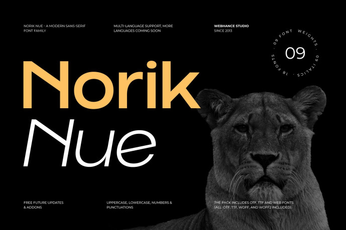 Norik Nue Font - Free Font