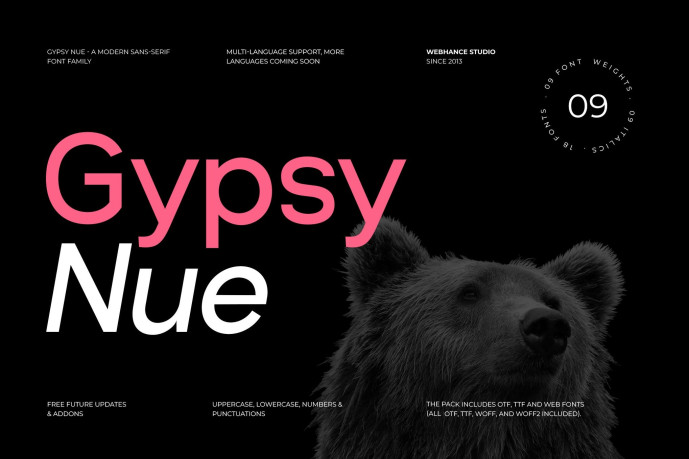 Gypsy Nue Font Family - Free Font