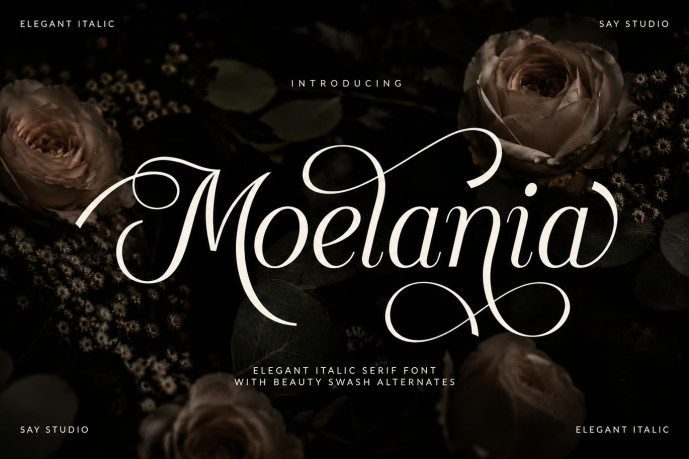 Moelania Font - Free Font